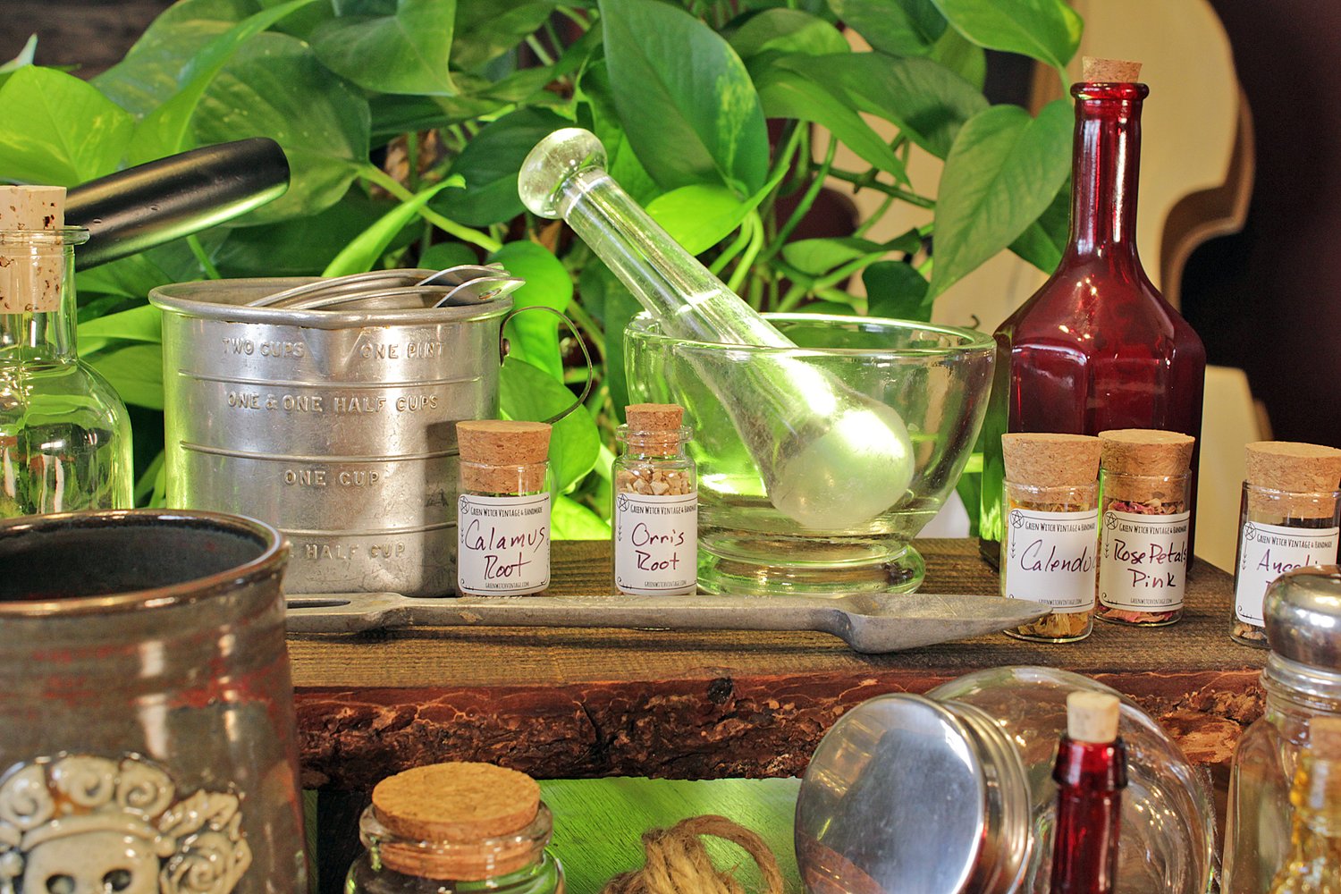 Hoodoo Rootwork: A Magical Tradition of Power and Folk Medicine ...